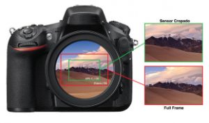 O Papel do Sensor na Câmera | Técnica Fotográfica Básica (Parte 4)